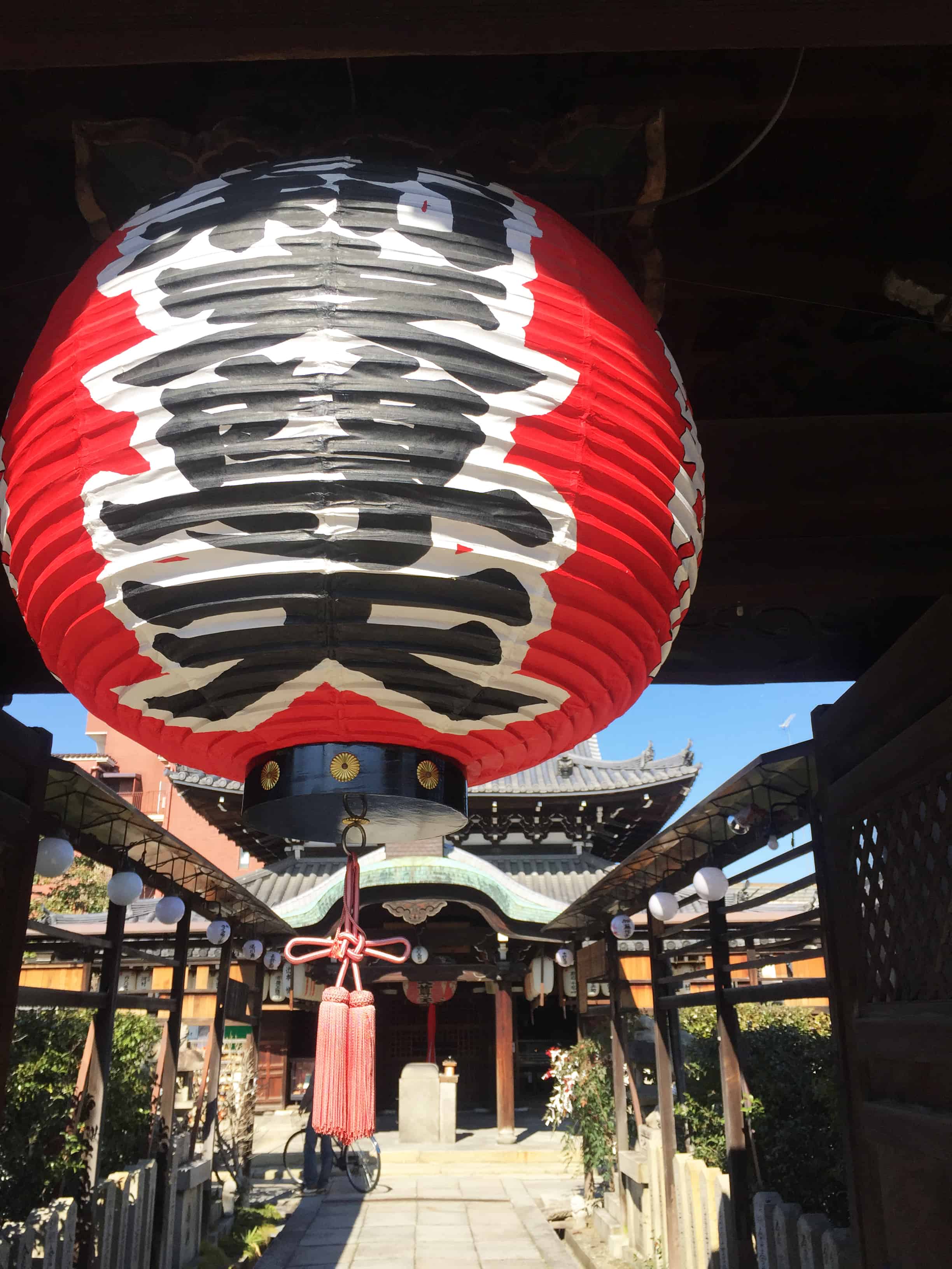 6 Things to Love About Kyoto Red Around the World