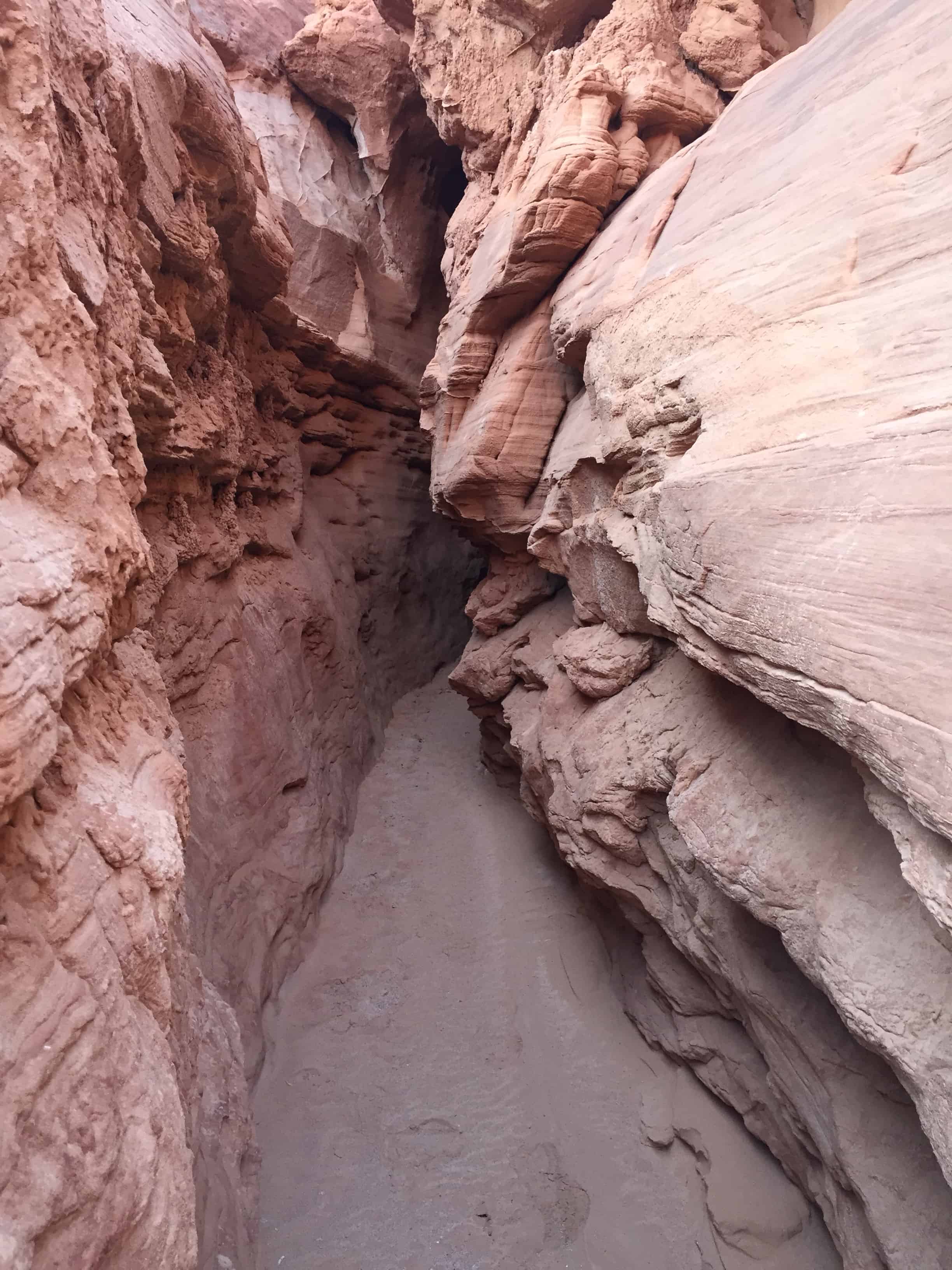 Desert Travel Tips Red Around the World