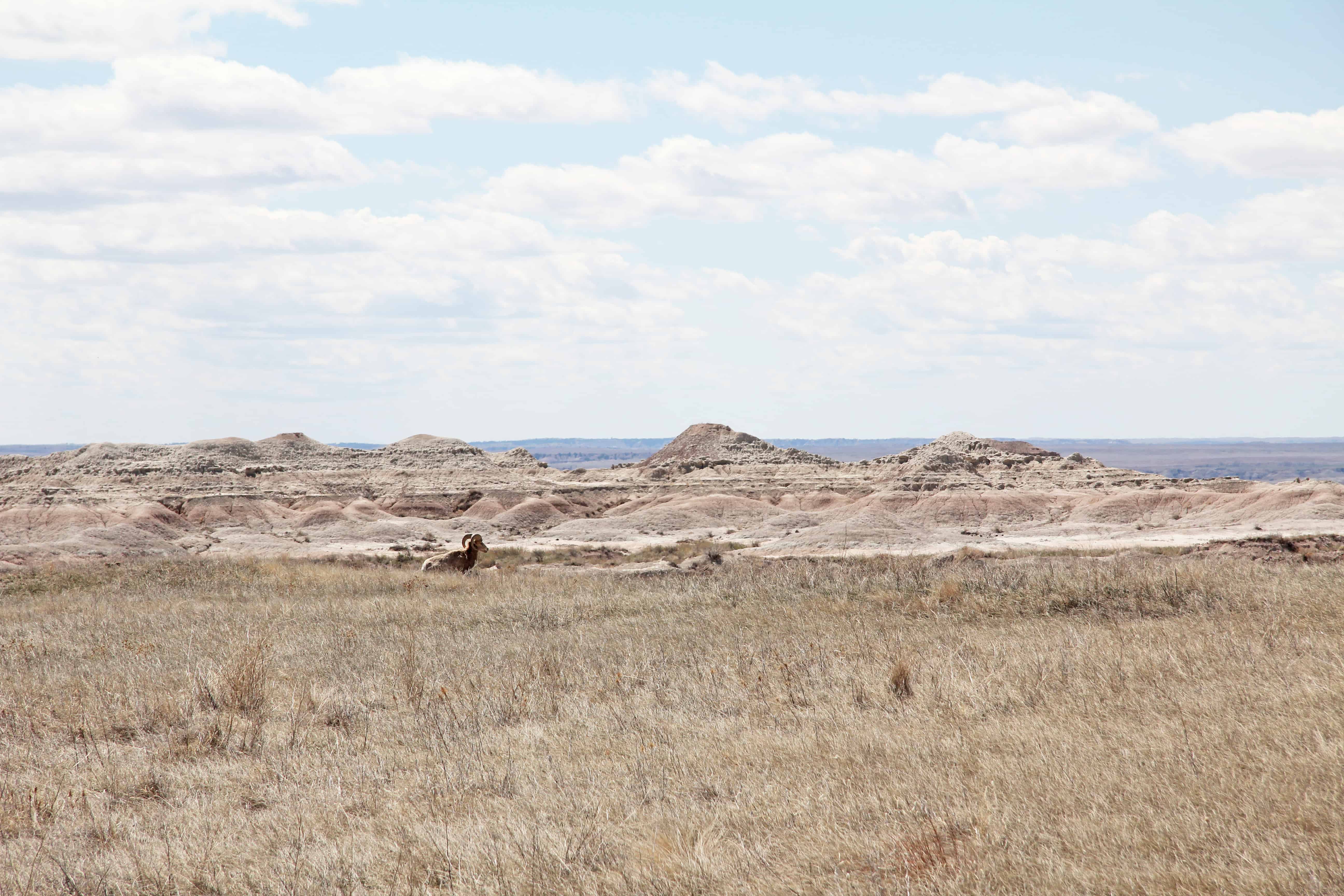 Back To The Badlands (For Real This Time) Red Around the World