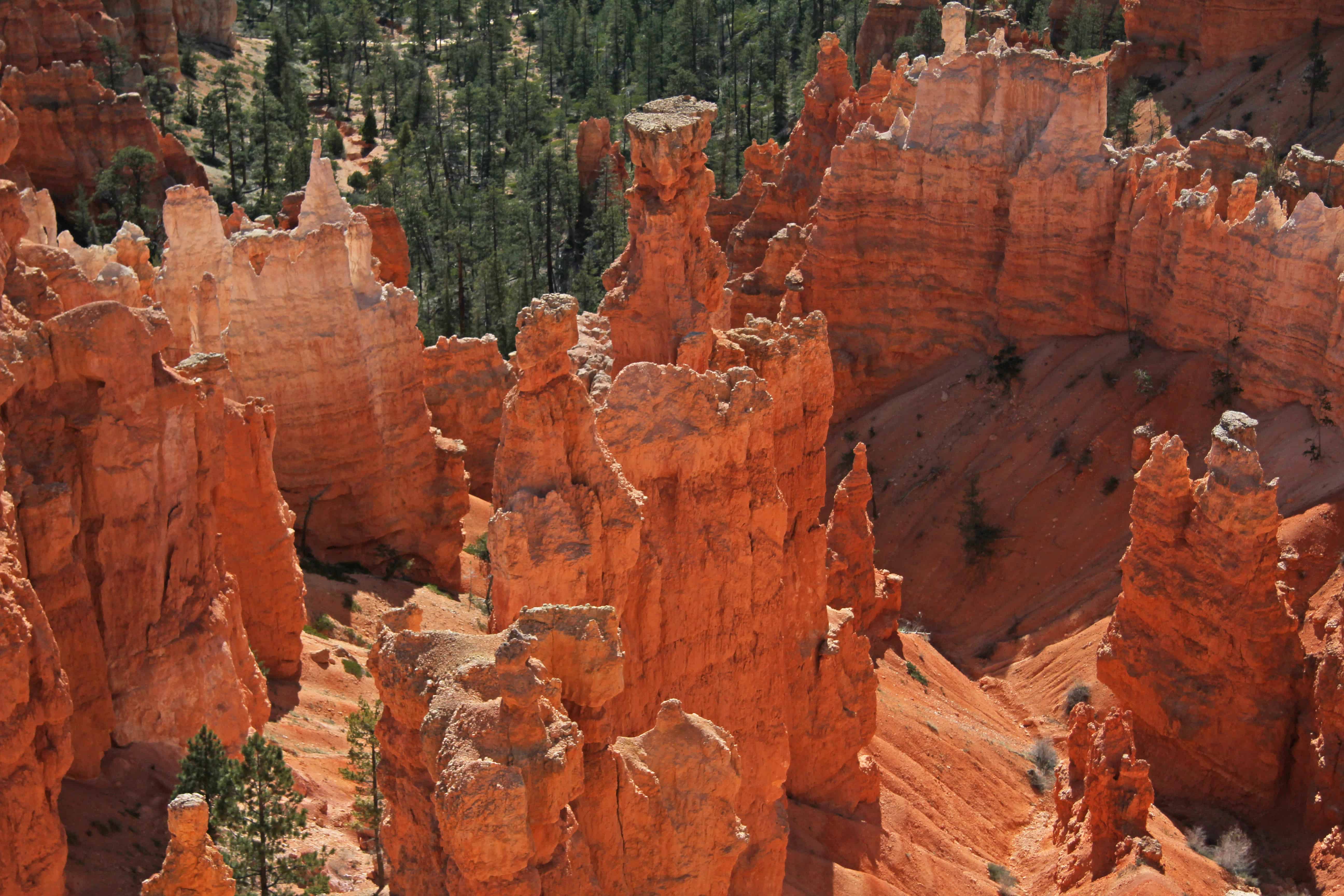 Third Time’s The Charm: Hiking Navajo Loop (Finally) Red Around the World