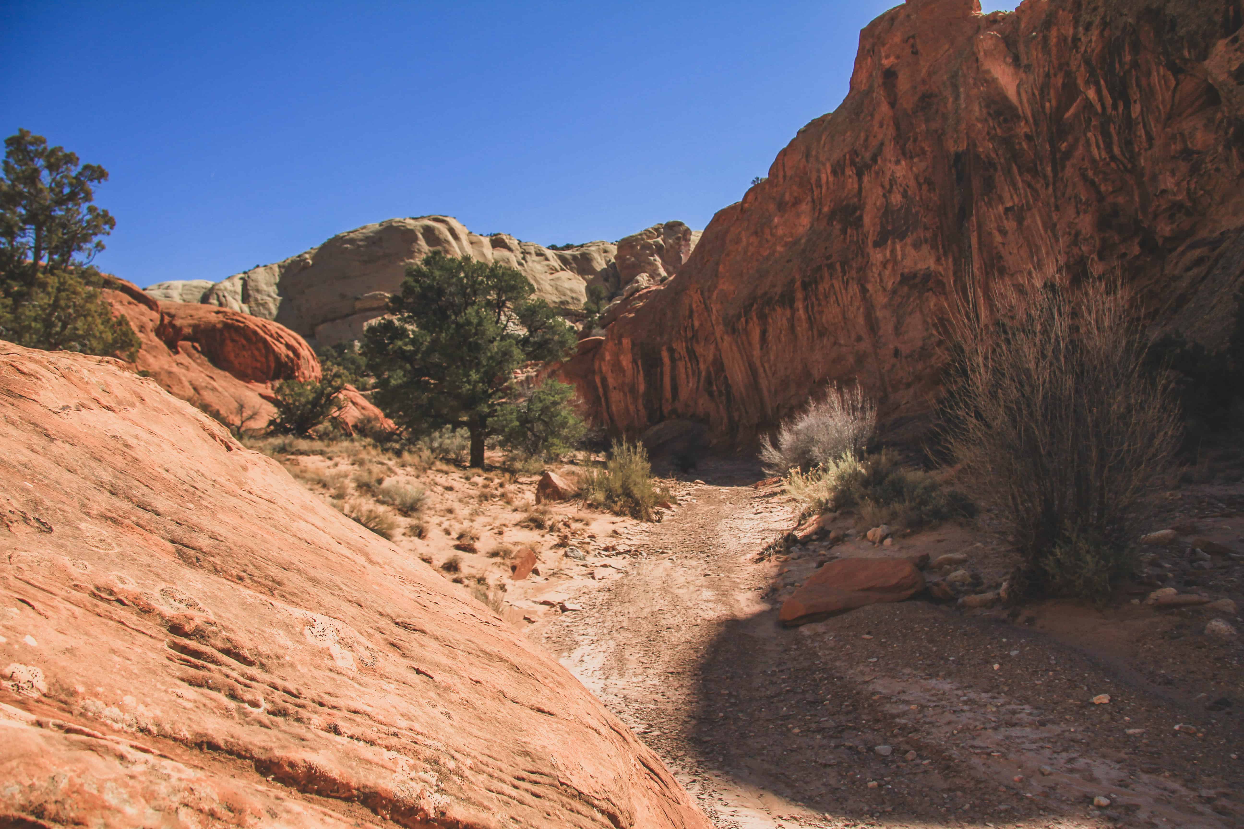 Upper Lower Muley Twist Adventures Red Around the World