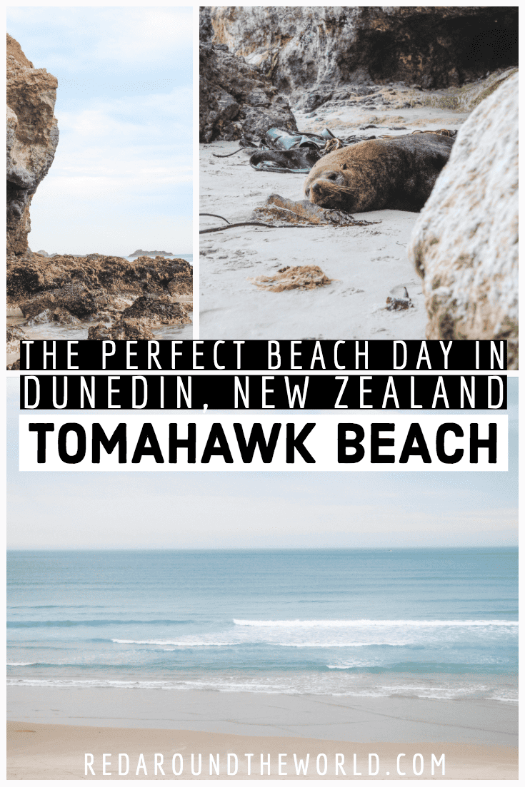 My first glimpse at New Zealand: Tomahawk Beach In Dunedin Red Around ...