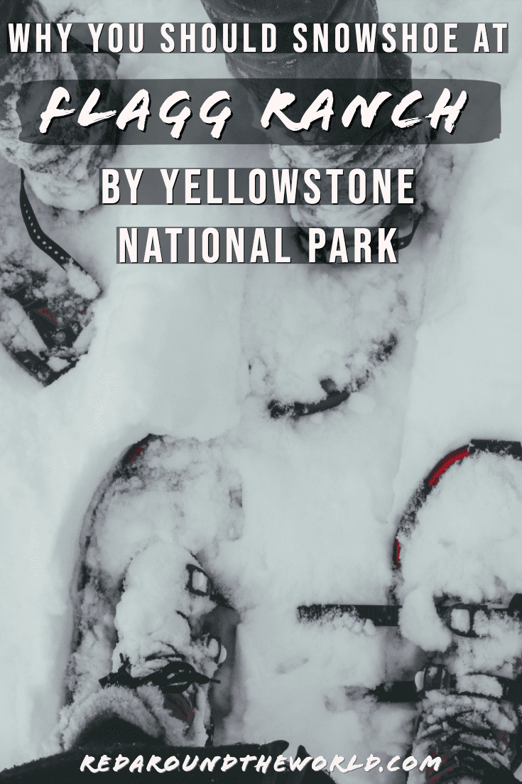 Snowshoeing At Flagg Ranch In Yellowstone In Winter Red Around the World