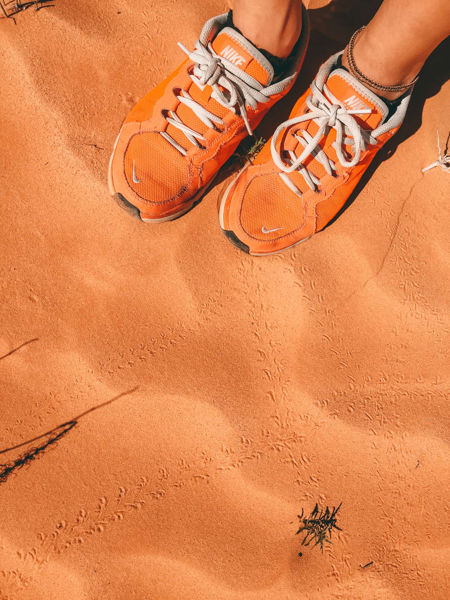 Bullfrog marina lake powell utah Red Around the World