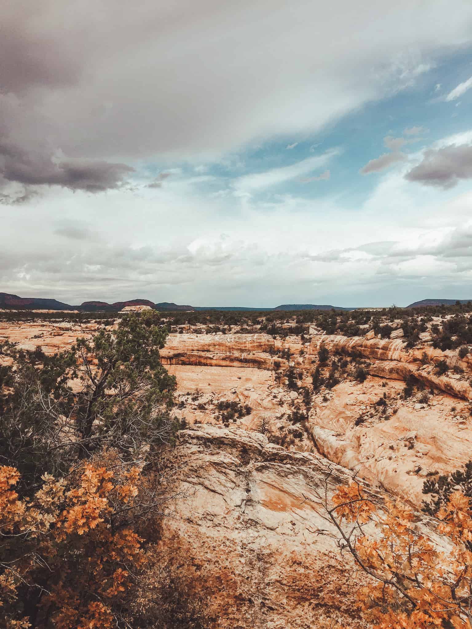 Hike To The Butler Wash Ruins: The Perfect, Easy Ruin Hike Red Around ...