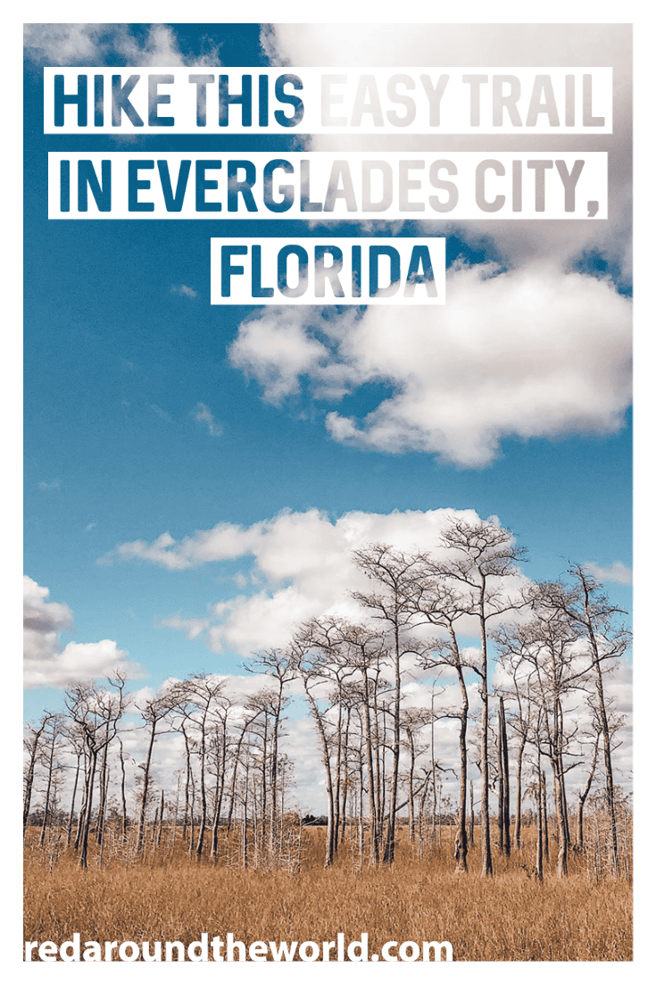 Experience The Fire Prairie Trail In Big Cypress National Preserve Red ...