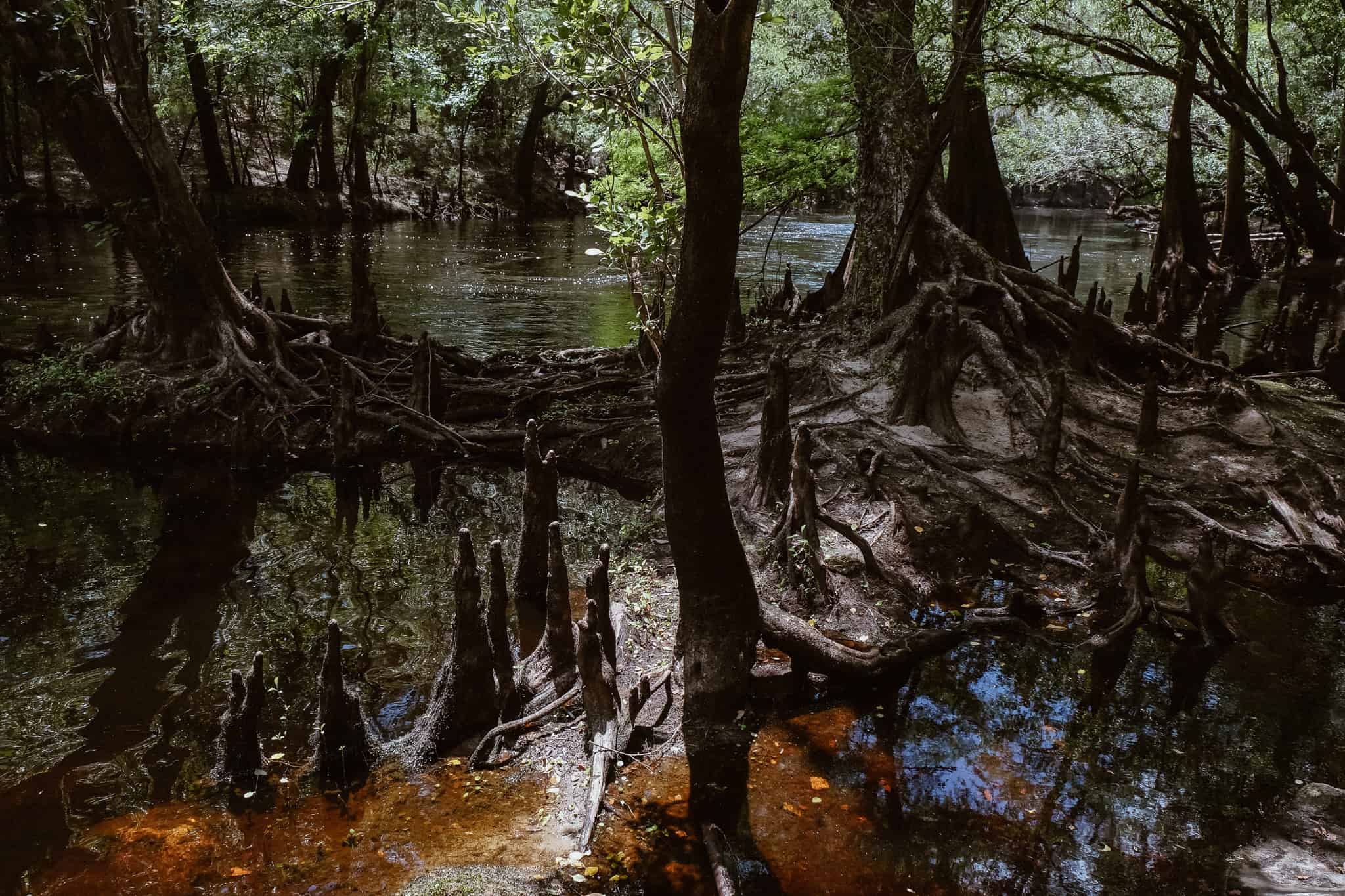 DSCF1788 Red Around the World