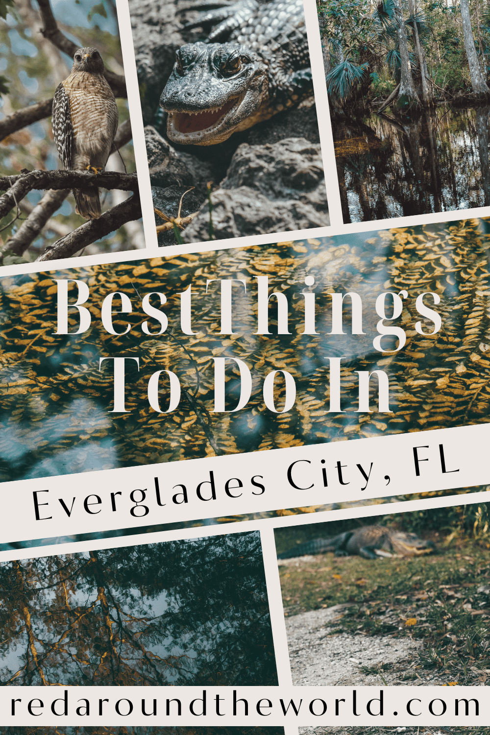 There are so many great things to do in Everglades City, Florida. It’s ...