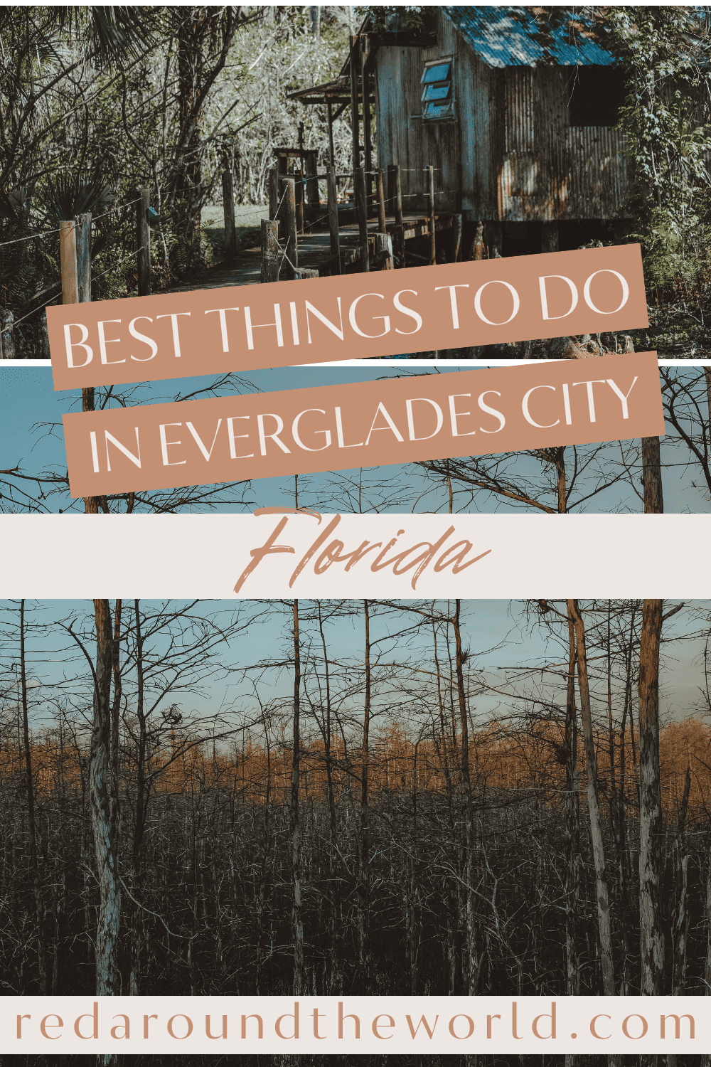 There are so many great things to do in Everglades City, Florida. It’s ...