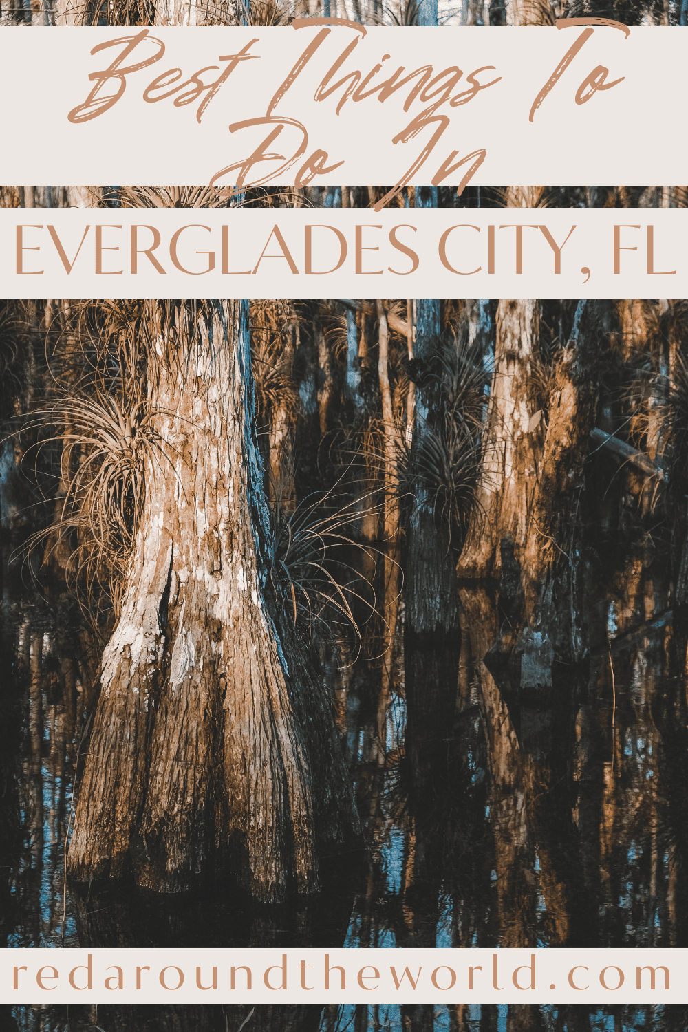 There are so many great things to do in Everglades City, Florida. It’s ...